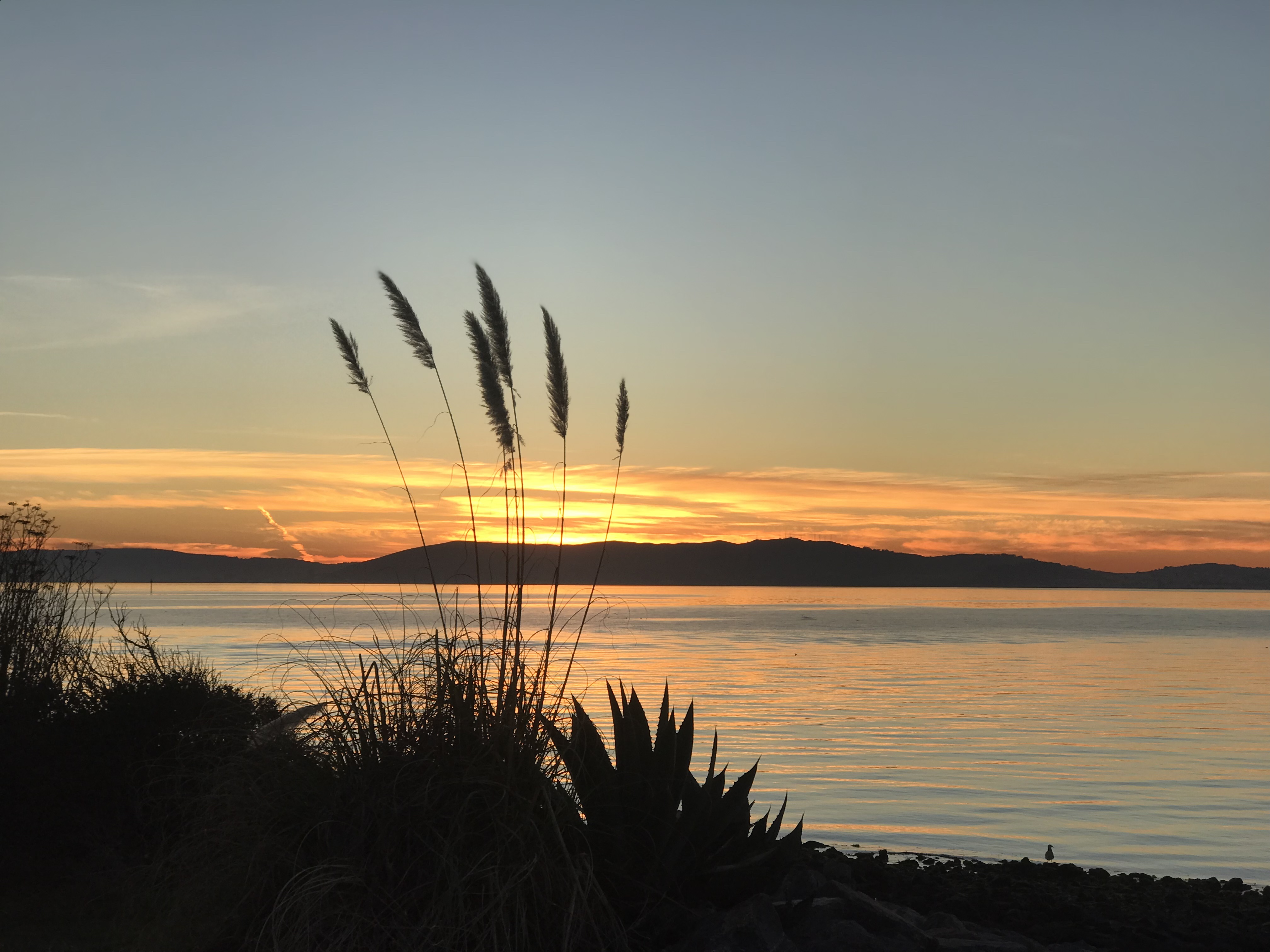 We don’t say: “Can lead a horse to water, can’t make ‘em drink ...